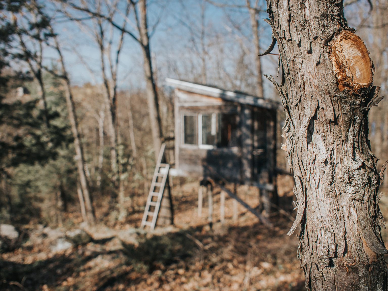 Bobs Lake Cottages & Escapes