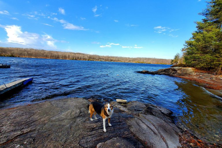 Waterfront Cottages for Family Reunions & Large Groups